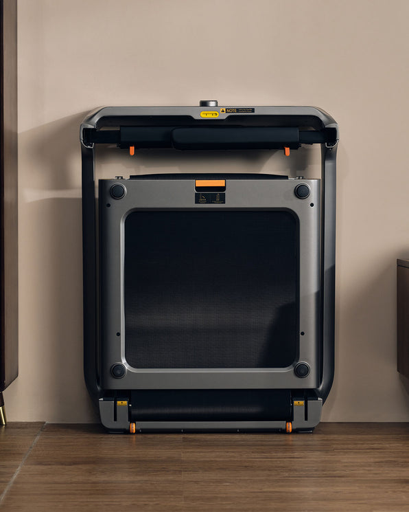 WalkingPad Detachable Handrail for P1 and A1 PLUS – WalkingPad CA