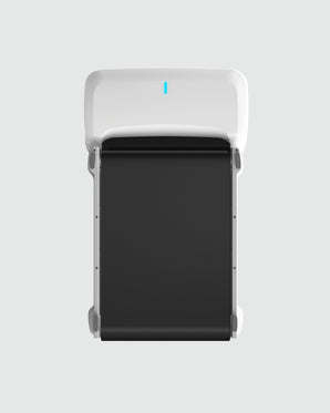 WalkingPad Detachable Handrail for P1 and A1 PLUS – WalkingPad CA